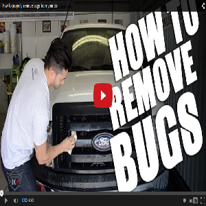 How To Properly Remove Bugs From Your Car