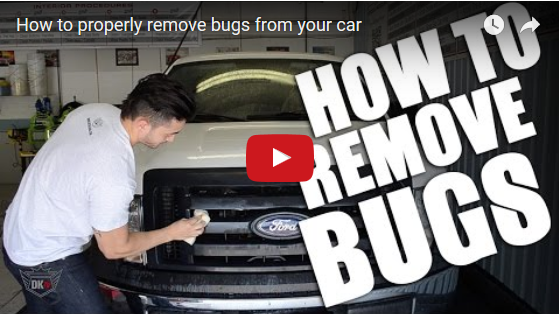 How to Remove Bugs